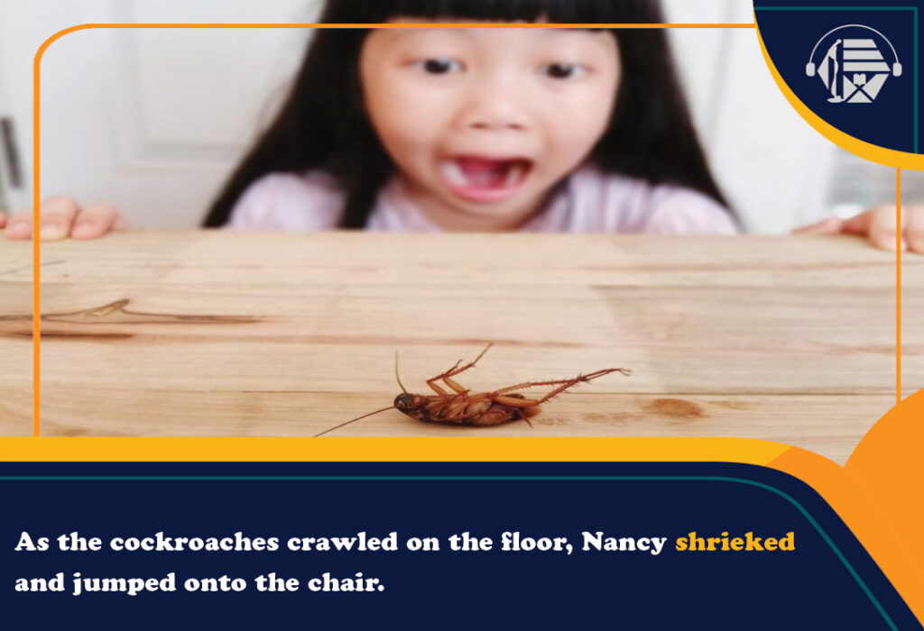 معنی Shriek – درس 2 – لغت نهم| کتاب ۵۰۴ - هگزپاد